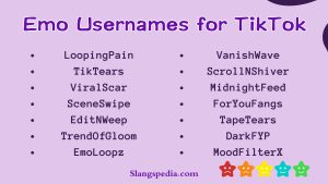 330+ Emo Usernames That Hit Just Right (Aesthetic, Sad & Edgy Picks ...