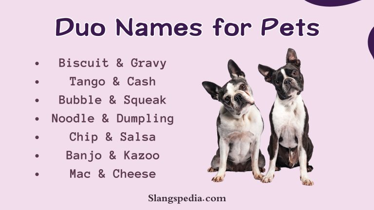Funny Duo Names: 460+ Hilarious Ideas for Every Dynamic Duo – Slangspedia